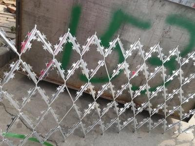 China Anti Climb Barrier Razor Wire Panel Hot Dipped Galvanized for sale