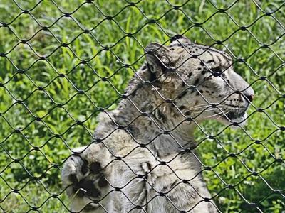 China Zoo Mesh 7x19 Stainless Steel Materials for sale