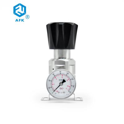 China Low Pressure Stainless Steel Gas Regulator Air Nitrogen Propane Natural for sale