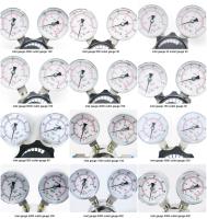 China Accurate Gas Pressure Test Gauge for sale