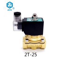 China Brass Electric 1 Inch Nitrogen Gas Solenoid Valve with 110V 24V 12V Options for Pipeline Control Systems for sale