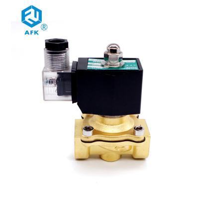 China Brass Normally closed NPT 2-15 Electric 12v 1/2