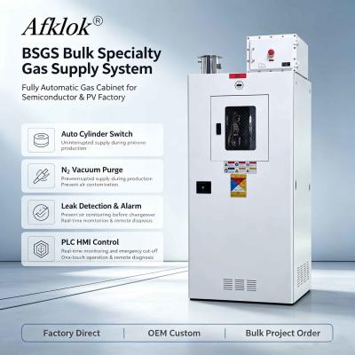 China Semiconductor BSGS Gas Cabinet High Purity Special Gas Supply Cabinet For Wafer Fab Factory OEM ODM Custom CE ISO Certified Factory Direct Bulk Supply for sale