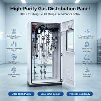 China Semiconductor BSGS Gas Cabinet High Purity Special Gas Supply Cabinet For Wafer Fab Factory OEM ODM Custom CE ISO Certified Factory Direct Bulk Supply for sale