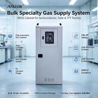 China Semiconductor BSGS Gas Cabinet High Purity Special Gas Supply Cabinet For Wafer Fab Factory OEM ODM Custom CE ISO Certified Factory Direct Bulk Supply for sale