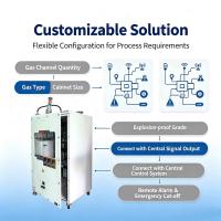 China Composite Positive Pressure Explosion-Proof Gas Cabinet Silane & Ethylene Explosion-Proof Gas Cabinet for sale