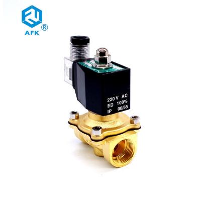 China Direct Acting 2T-40 Lpg Gas Solenoid Valve Zero Pressure DC 24V For CO2 Nitrogen Gas for sale