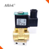 China Brass Forging 16 Bar High Pressure Water Solenoid Valve G 3/8