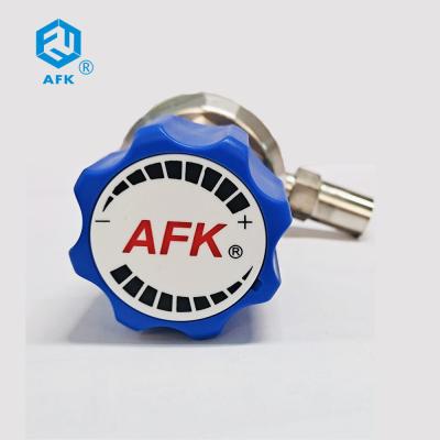 China 3000psig R41 Stainless Steel Pressure Regulator 1/4