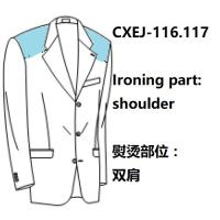 China 1.5KW Steam Press Machine For Clothes Sinle Cylinder Vertical 220V for sale