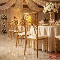 China WENDING Gold Radial Arc-Bar Backrest Banquet Chair – Back-Detail Ornate Wedding Chair for sale