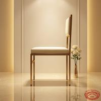 China WENDING Gold Square-Tube Floating Backrest Dining Chair – Modern Minimalist Banquet Chair for sale