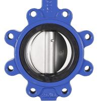 China 316/ 304 Cast Iron Butterfly Valve for sale