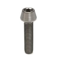 China M5 X 16 Tapered Head Titanium Stem Bolts With Washer for sale