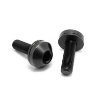 China Bicycle T8 Torx Head M8 Titanium Screws Bolts for sale
