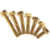 China M6 x 25 Gold Hex Flange Head Titanium Bolts with Hole DIN Standard for sale