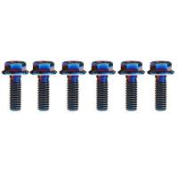China M6 x 25 Gold Hex Flange Head Titanium Bolts with Hole DIN Standard for sale