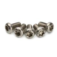 China M1 to M8 Hex Socket Stainless Steel Pan Head Torx Screws M3x8 DIN Standard for sale