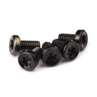 China Customized Metric M1-M8 Black Anodic Oxidation Cap Head Socket Torx Titanium Bolt Screws for sale