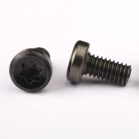 China Customized Metric M1-M8 Black Anodic Oxidation Cap Head Socket Torx Titanium Bolt Screws for sale