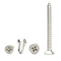 China SS304 SS316 Stainless Steel Self Tapping SS Deck Screw for sale