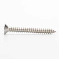 China SS304 SS316 Stainless Steel Self Tapping SS Deck Screw for sale