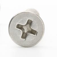 China SS304 SS316 Stainless Steel Self Tapping SS Deck Screw for sale