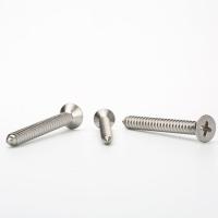 China SS304 SS316 Stainless Steel Self Tapping SS Deck Screw for sale