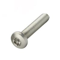 China Stainless Steel Anti Theft Screw M5 M10 M12 Tamper Proof Torx Pin Center Head Security Fastener for sale