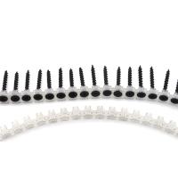 China Plastic Strip Collated Black Phosphated Drywall Screw Nail For Installation for sale