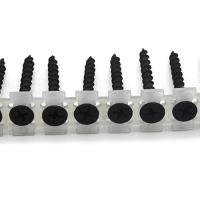 China Plastic Strip Collated Black Phosphated Drywall Screw Nail For Installation for sale
