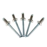 China M2 M4 M6 M8 Domed Head Aluminium Blind Pop Rivets for sale