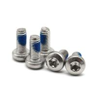 China Stainless Steel DIN Pan Head Nylon Torx Screw Locking Screws for sale