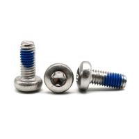 China Stainless Steel DIN Pan Head Nylon Torx Screw Locking Screws for sale