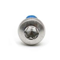 China Stainless Steel DIN Pan Head Nylon Torx Screw Locking Screws for sale