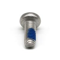 China Stainless Steel DIN Pan Head Nylon Torx Screw Locking Screws for sale