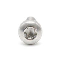China Small Six Lobes Hex Socket Stainless Steel Pan Head Torx Screw for sale