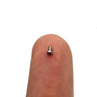China Stainless Steel Pan Head Phillips Micro Screws M0.6 M0.7 M0.8 M1.5 M2 DIN Standard 12mm 25mm for sale