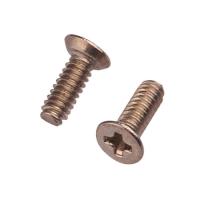 China Head Phillips Drive Machine Screws Fasteners Hardware for sale