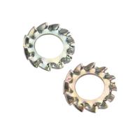 China Fastener Hardware Assorted Custom Copper Washer Stainless Steel External Teeth Serrated Wave Spring Shim Washer for sale
