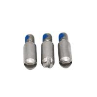 China Stainless Steel Slotted Cheese Head Machine Screws DIN Custom Length for 5G Telecom for sale