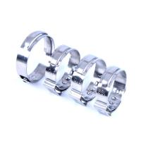 China Small Size Single Ring Ss304 Spring Hose Clamps Alloy Steel Fasteners for sale