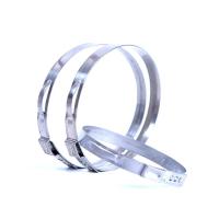 China Small Size Single Ring Ss304 Spring Hose Clamps Alloy Steel Fasteners for sale