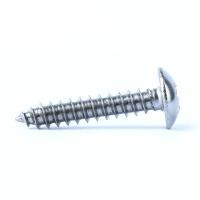 China M2 M3 M4 Galvanizado Zinc Clear Drywall Tapping Screw for sale
