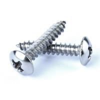 China M2 M3 M4 Galvanizado Zinc Clear Drywall Tapping Screw for sale