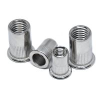 China Custom Flat Head Stainless Steel M6 Blind Rivet Nut for sale
