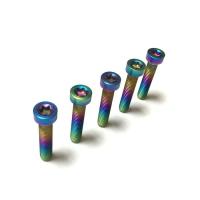 China M8 X 12 GR5 Rainbow Color Titanium Allen Screw With Nylon Patch for sale