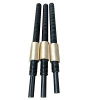 China T10 Metric 10mm Per Revolution Helix Lead Screws 8mm with Anti Backlash Nuts Brass Stainless Steel for sale