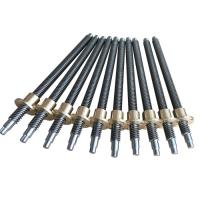 China T10 Metric 10mm Per Revolution Helix Lead Screws 8mm with Anti Backlash Nuts Brass Stainless Steel for sale