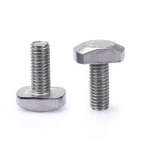 China 5/16 Stainless Steel Metric T Bolts DIN186 M3-M72 10mm-500mm Sherardizing for sale